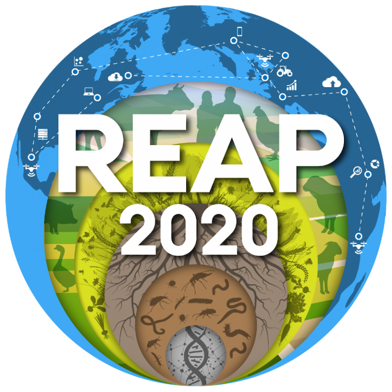 REAP Conference 2020 - EIRA